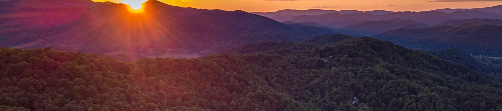 Meridian Customer Portal